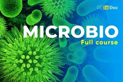 InDoc | USMLE Step 1 maxsus tayyorlov kurslari